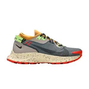 Nike Pegasus Trail 2 Gtx - Grey