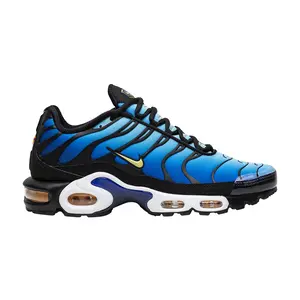 Nike Air Max Plus Hyper Sneakers - Blue