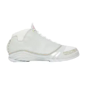 JORDAN 23 Retro 'year Of The Rabbit - Silver