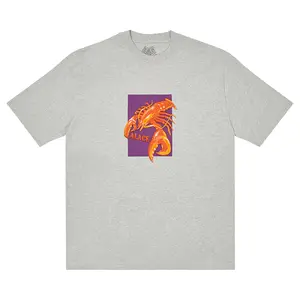 PALACE Thermadore T-shirt - Grey