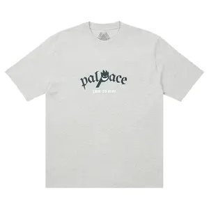 PALACE X Spitfire P-head T-shirt - Grey