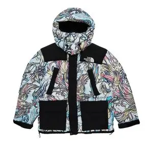 Supreme X The North Face 700-fill Down Parka - Multicolor
