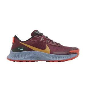 Nike Pegasus Trail 3