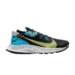 Nike Pegasus Trail Shoes