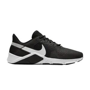 Nike Legend Essential 2 Metallic Silver Sneakers - Black