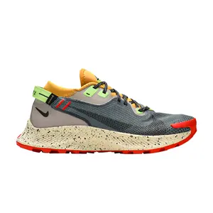 Nike Pegasus Trail 2 Gtx - Grey