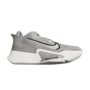 Nike Air Zoom Bb Nxt Tb Sneakers - Grey