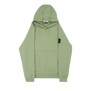Stone Island Compass Motif Detail Hoodie 'sage - Green