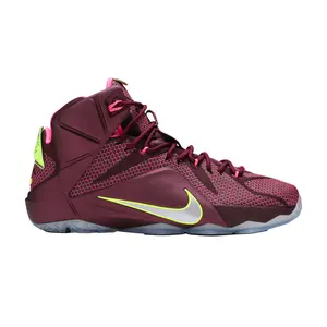 Nike Lebron Double Helix Sneakers - Purple