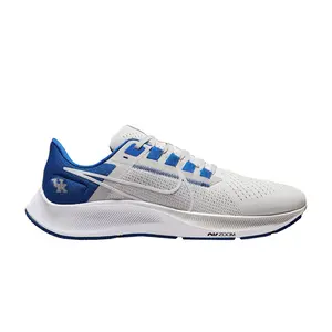 Nike Air Zoom Pegasus 38 Kentucky - Grey
