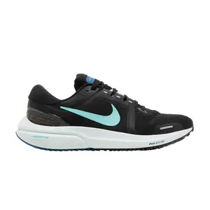 Nike Air Zoom Vomero 16 Sneakers - Black