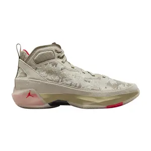 JORDAN 37 Premium Pf Sneakers - Brown