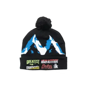 MARKET High Altitude Pom Beanie - Black