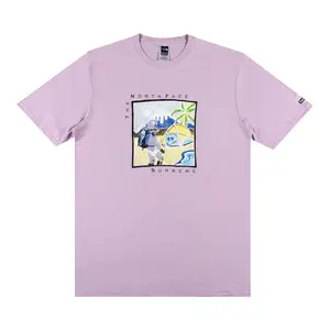 Supreme X The North Face Sketch Short-sleeve Top 'light - Purple