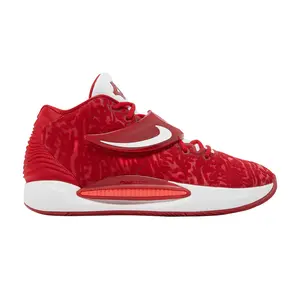 Nike Kd Tb 'gym' Sneakers