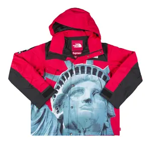 Supreme X The North Face Mountain Jacket - Red