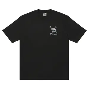 PALACE X Oakley T-shirt