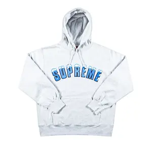 Supreme Icy Arc Hooded Sweatshirt