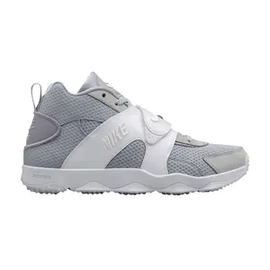Nike Zoom Veer - Grey