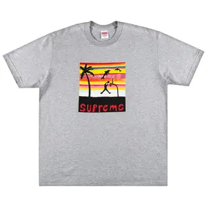 Supreme Dunk Tee 'heather - Grey