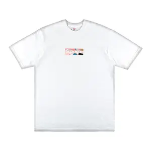 Supreme X Emilio Pucci Box Logo Tee /dusty Pink - White
