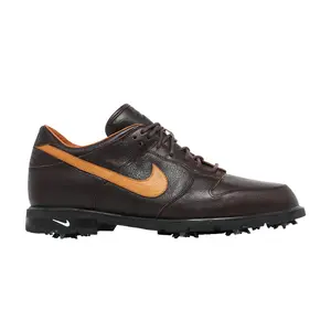 Nike Dunk Sb Golf Low Sneakers