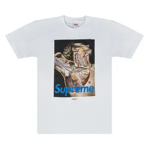 Supreme X Undercover Anatomy T-shirt - White