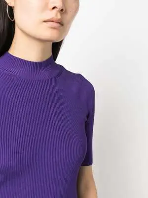 Stella McCartney High Neck Ribbed Knit Top