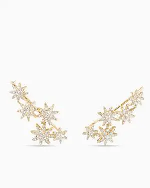 David Yurman Climber Earrings