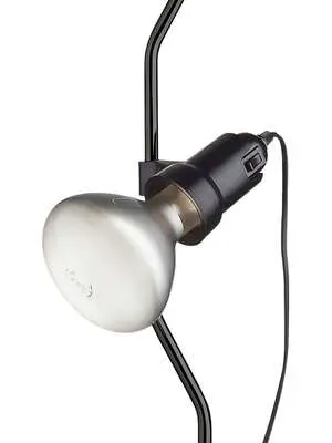 FLOS Parentesi Suspension Lamp