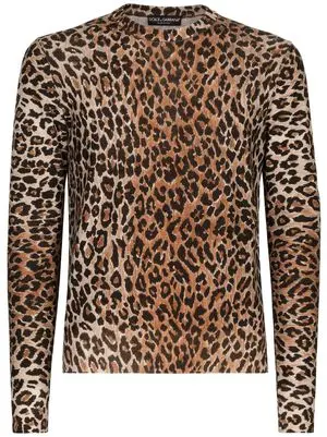Dolce & Gabbana Leopard-print Jumper - Brown