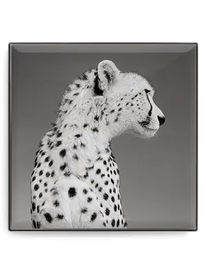 CHANTECAILLE Luminescent Eye Shade - Elephant