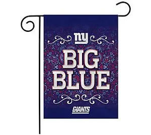 RICO INC. Nfl Garden Flag With Pole Rico - One-color