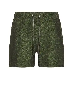Oas Swim Shorts In Green - Green Squiggle