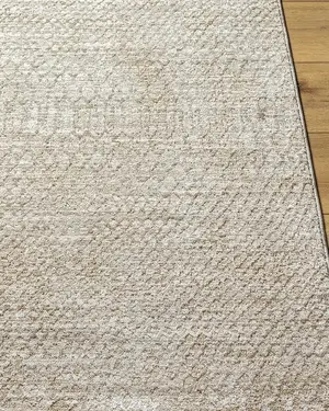 LIVABLISS Masterpiece Mpc-2302 Area Rug, 2' X 2'11 - Light/grey