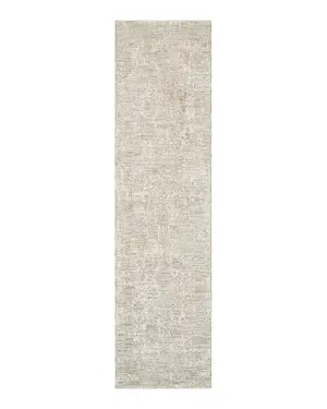 Livabliss Masterpiece Mpc-2300 Runner Area Rug, 2'8 X 10 - Light/grey