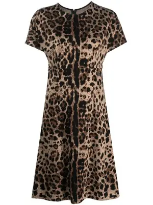 Dolce & Gabbana Leopard Jacquard Short-sleeved Dress