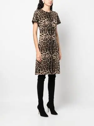 Dolce & Gabbana Leopard Jacquard Short-sleeved Dress