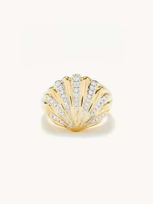 Shell Rings