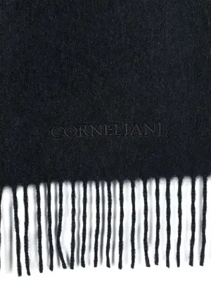 Corneliani Logo-embroidered Cashmere Scarf - Blue
