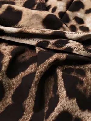 Dolce & Gabbana Leopard-print Swimsuit - Brown