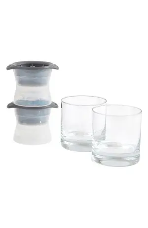 SCHOTT ZWIESEL Basic Bar Motion 4-piece Whiskey Set - Clear