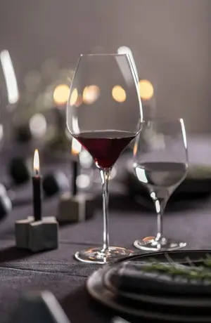 SCHOTT ZWIESEL Set Of 2 Alloro Tritan Crystal Glasses
