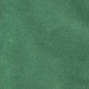 Trotters Corduroy Jake Jeans