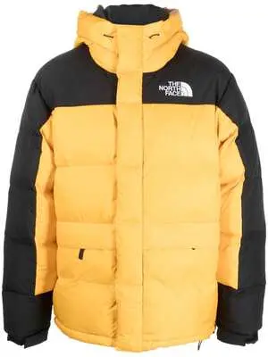 The North Face Color Blocked Outerwear For Men
