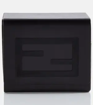 Fendi Cat Eye Sunglasses