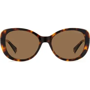 POLAROID Polaroid 55mm Polarized Round Sunglasses Havana/bronze Polarized