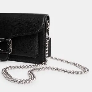 COACH Chain Strap With Dogleash Clips