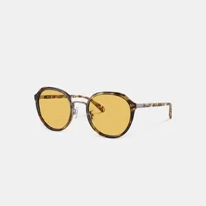 COACH® Hangtag Geometric Round Sunglasses Honey Tortoise