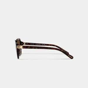 COACH Hinged Horse And Carriage Square Sunglasses - Dark Tortoise